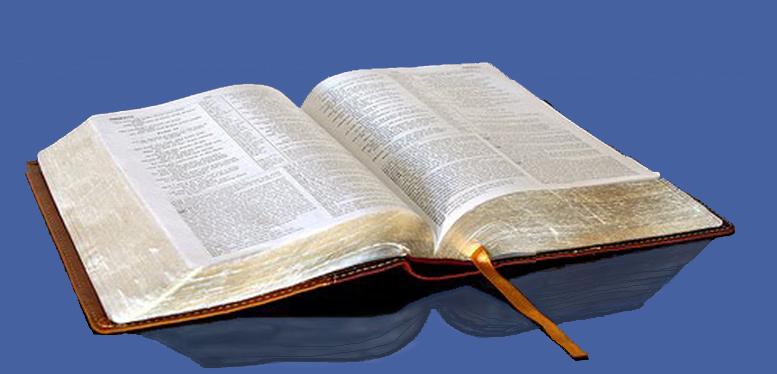 Our groups and meetings